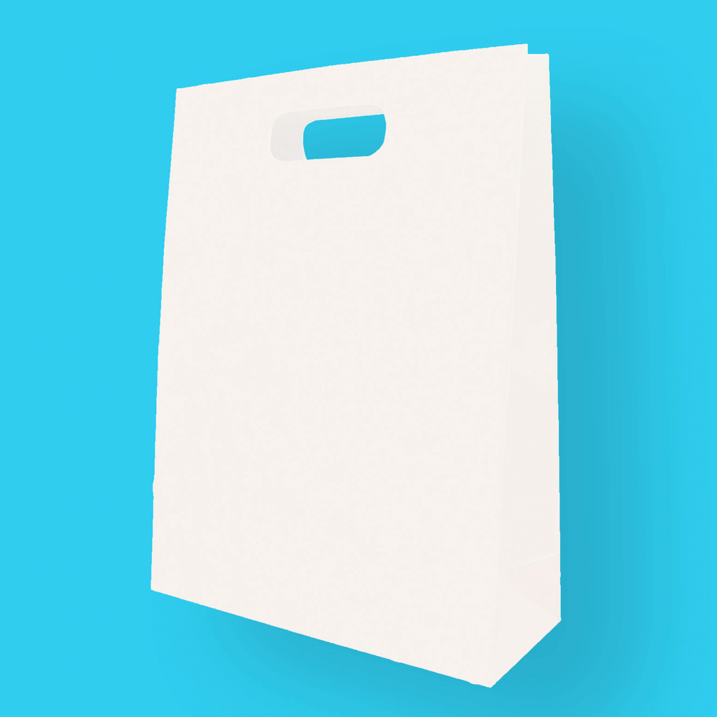 D Punch Paper Bag – NavPak
